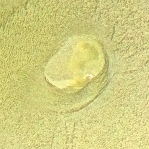 The Gish Bar Times: Formation of Paterae on Io